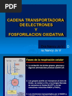 Bioquimica Cad Respiratoria | PDF | Cadena de transporte de electrones | Trifosfato de adenosina