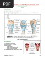 5-ANATOMIE DE L'OREILLE INTERNE Labyrinthe Osseux N@sser | PDF ...