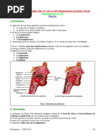 5-ANATOMIE DE L'OREILLE INTERNE Labyrinthe Osseux N@sser | PDF ...