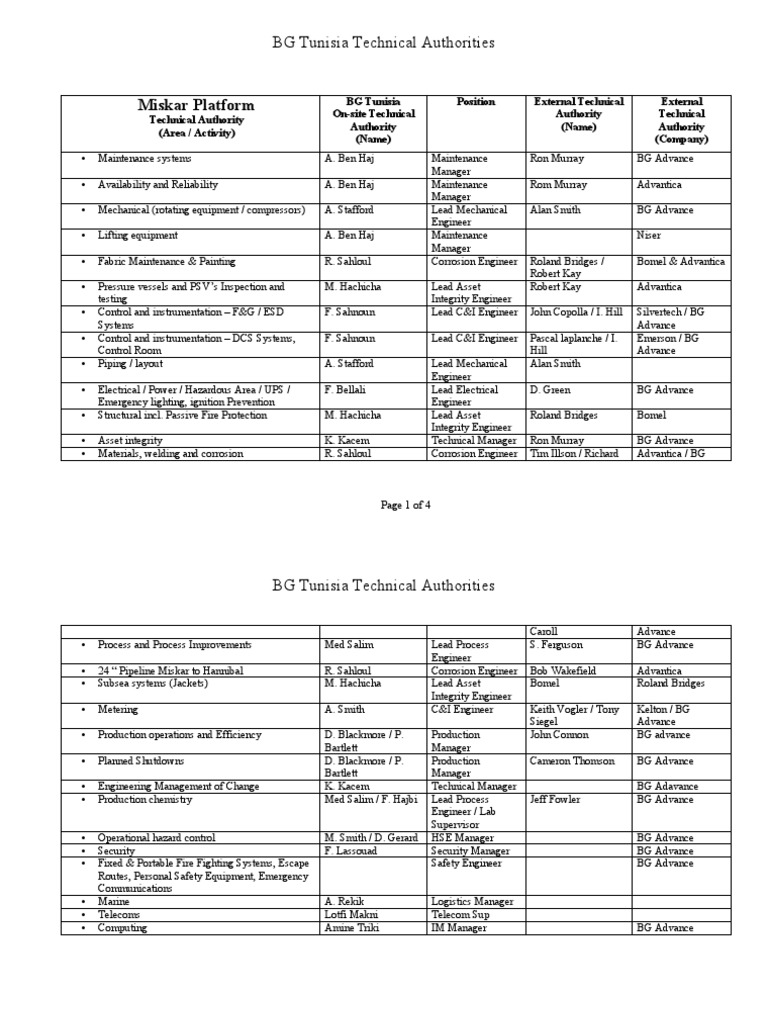 Miskar Platform: BG Tunisia Technical Authorities | PDF | Engineering ...