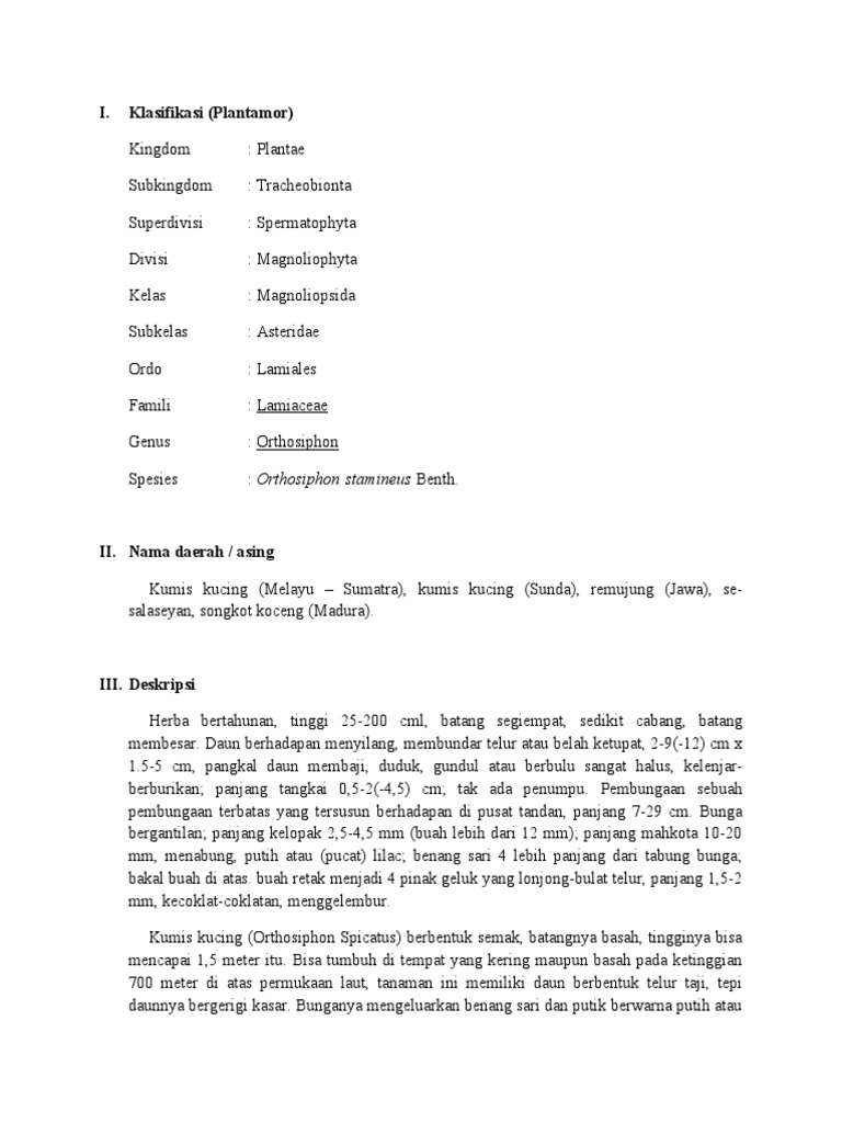 Gifar Kumis Kucing | PDF