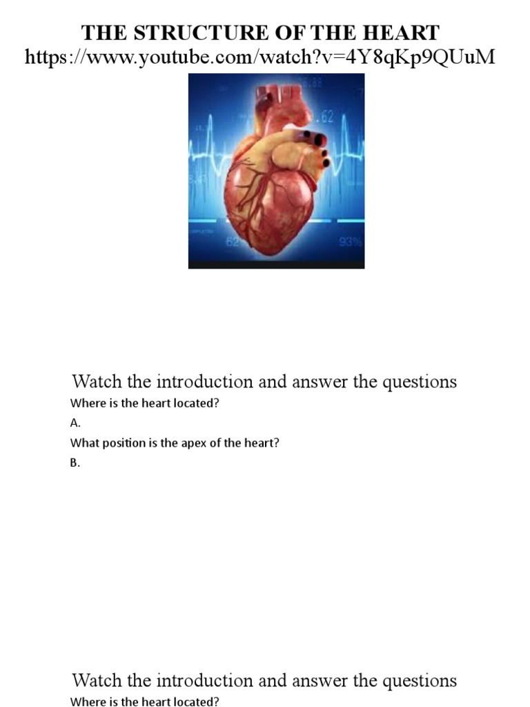 Structure of The Heart | PDF | Heart Valve | Heart