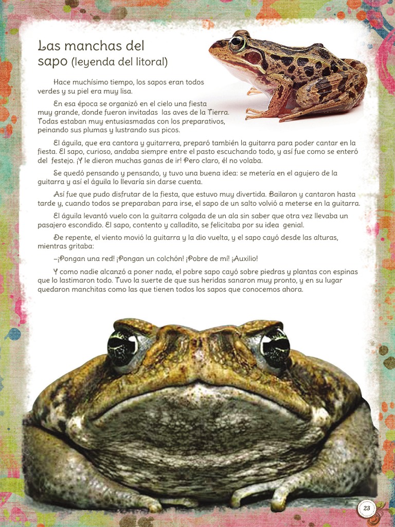 Leyenda del Sapo y sus Manchas | PDF