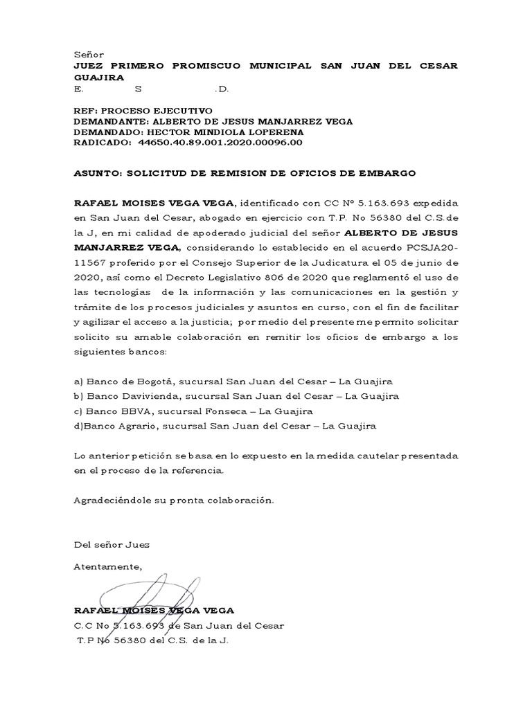 Solicitud de Oficios de Embargo | PDF