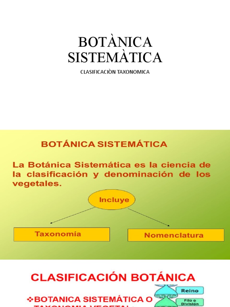Clase (2) - La Botánica Sistemática | PDF | Botánica | Plantas