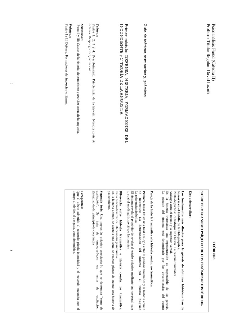 Guias Psicoanalisis Laznik Completo | PDF | Libido | Neurosis