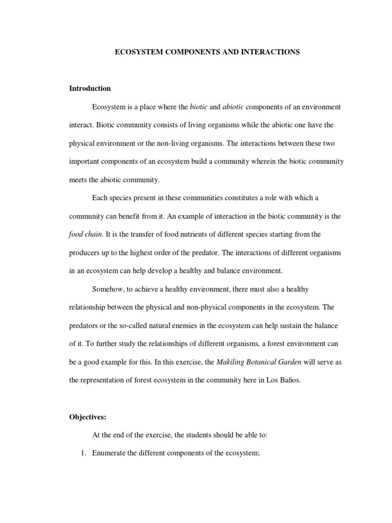 Ecosystem Components and Interactions | PDF | Ecosystem | Soil
