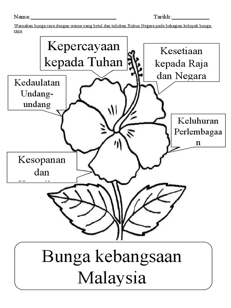 Latihan Rukun Negara | PDF
