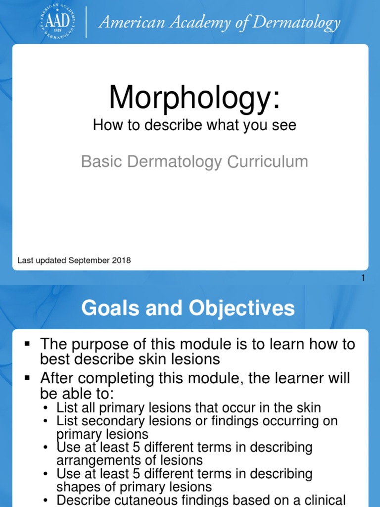 Morphology:: Basic Dermatology Curriculum | PDF | Skin | Epidermis