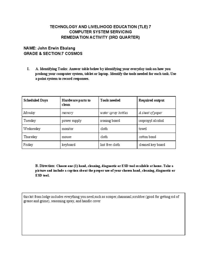 Tle 7 - Remediation Activity (3RD Quarter) | PDF | Computing