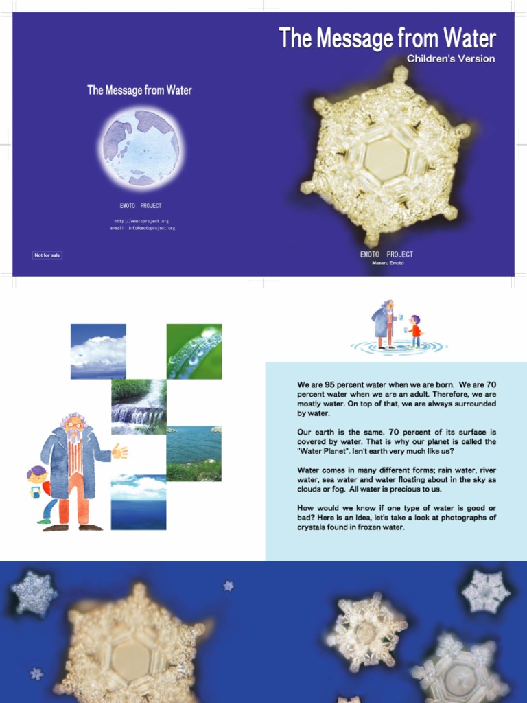 Memory of Water Childrens Book | PDF