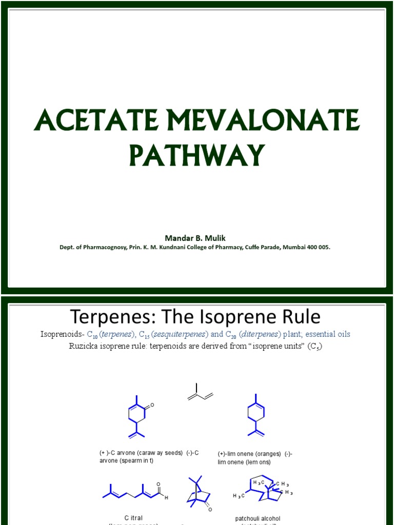 Acetate Mevalonate Pathway | PDF | Natural Products | Organic Compounds