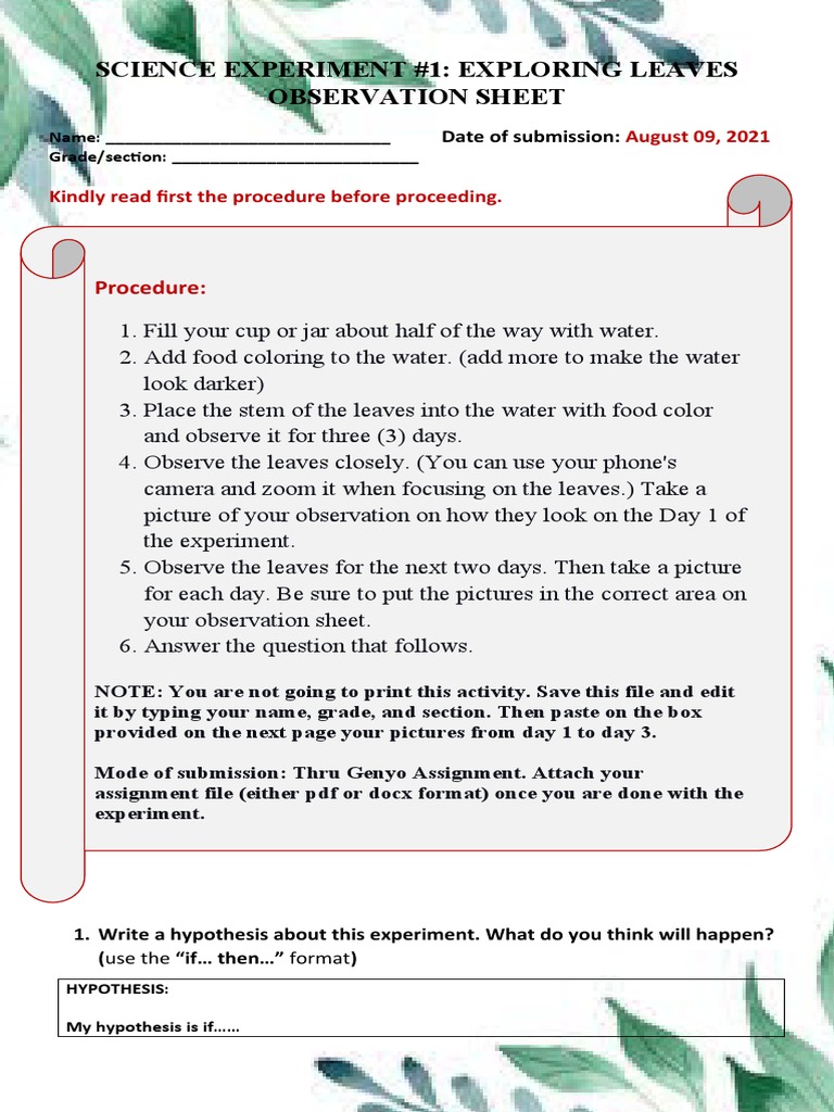 Leaves Experiment Observation Sheet | PDF