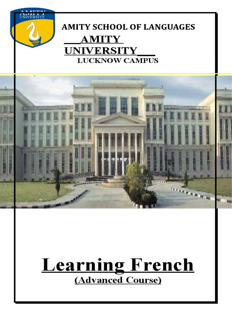 Advanced French Grammar and Expressions: A Guide to Mastering the ...