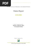 Dhubri District Administrative Map | PDF