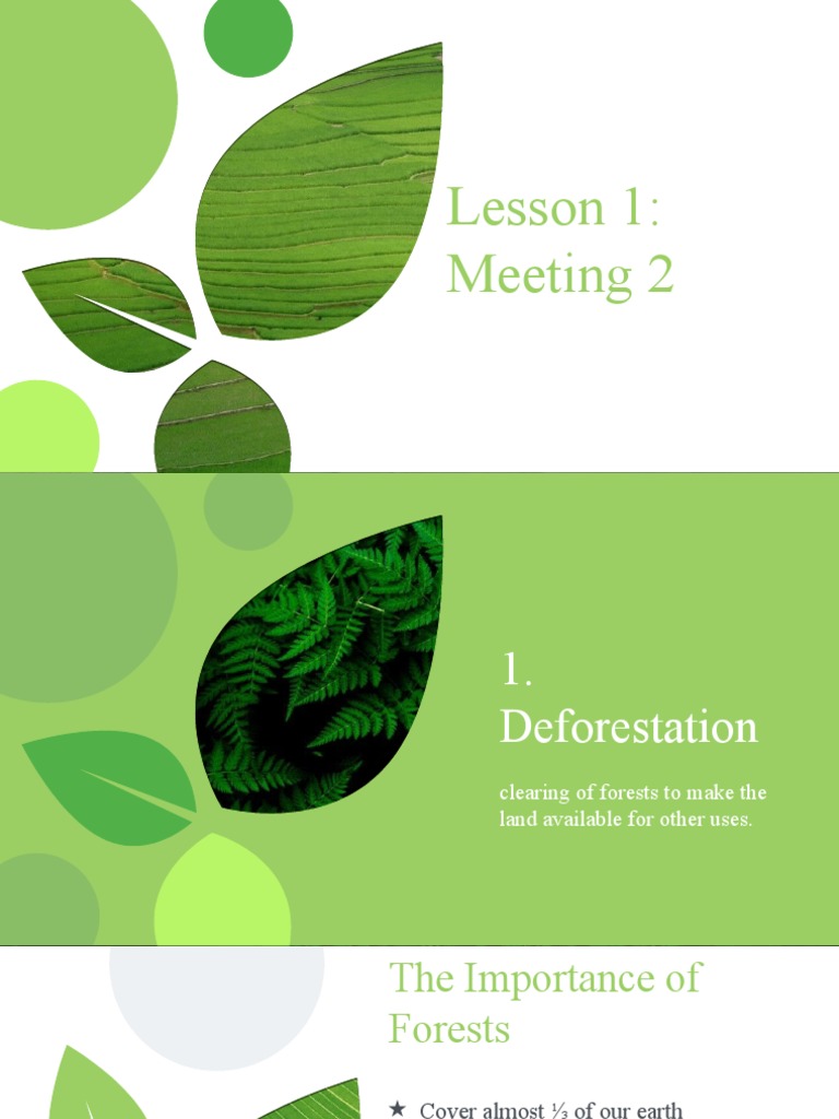 9 23 19 Lesson - Deforestation | PDF