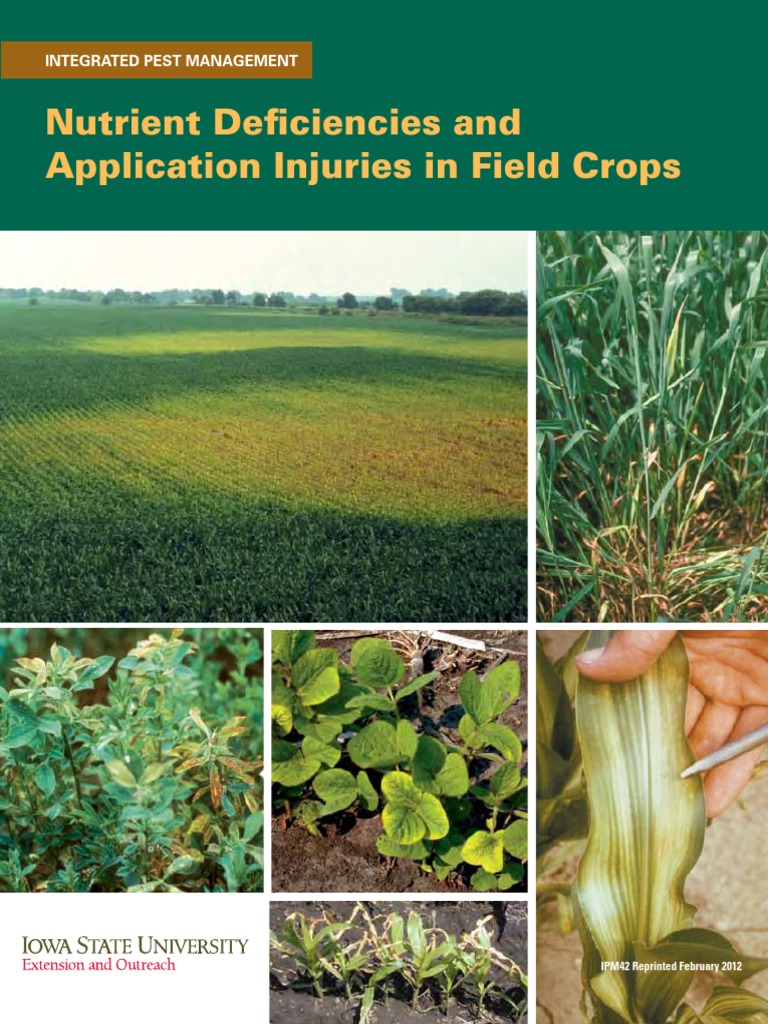 Nutrient Deficiencies and Application Injuries in Field Crops | PDF ...
