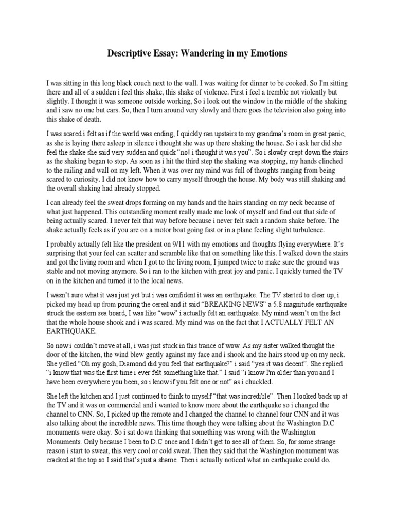 Descriptive Essay Example About Emotions | PDF