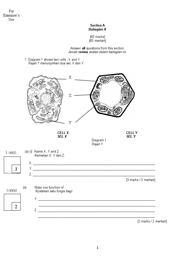 Soalan Kertas 2 Biologi | PDF