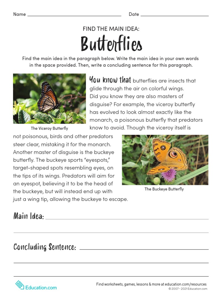 Find Main Idea | PDF | Foreign Language Studies