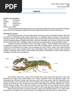 Klasifikasi dan Ciri Crustacea | PDF