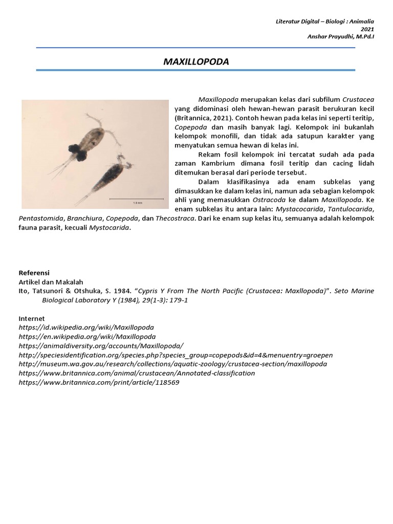 Maxillopoda | PDF
