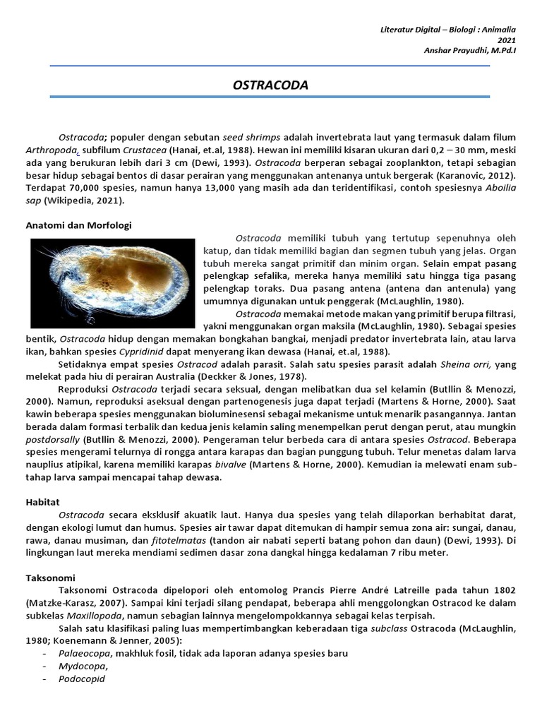 Ostracoda | PDF