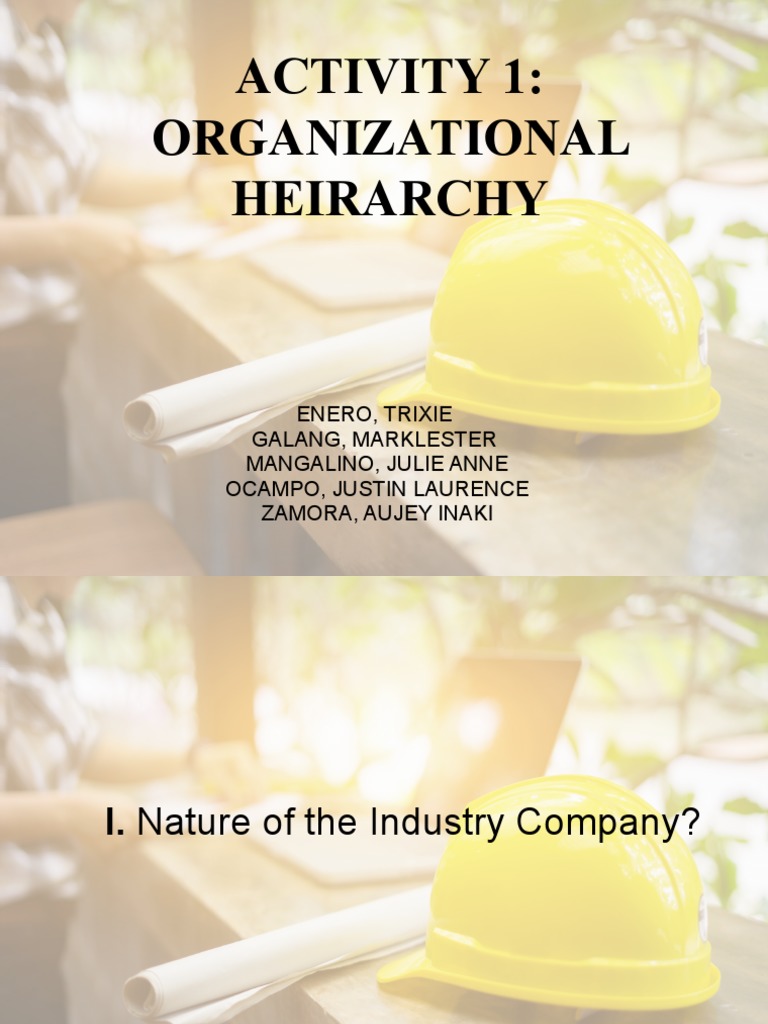 Organizational Hierarchy Analysis Guide | PDF