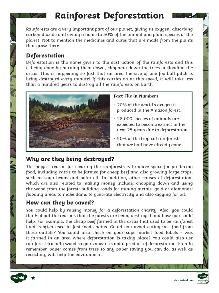 Rainforest Deforestation Sudent Worksheet | PDF | Rainforest ...