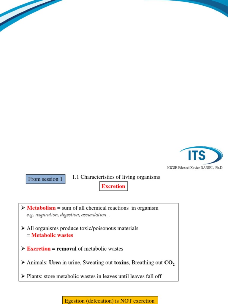 IGCSE Edexcel 4 1 Excretion | PDF | Kidney | Excretion