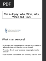 Virtual Autopsy Worksheet | PDF