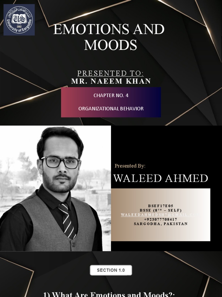 Understanding Emotions And Moods In Organizations Pdf Emotions