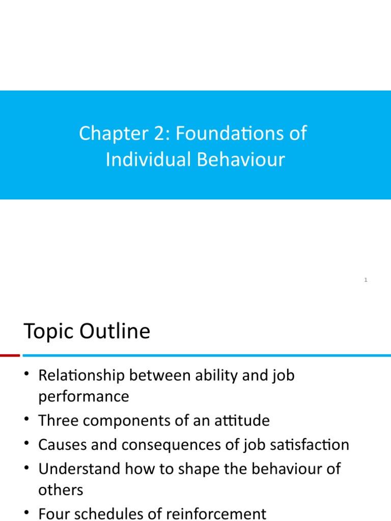 Chapter 2 - Foundation of Individual Behavior | PDF | Reinforcement | Attitude (Psychology)