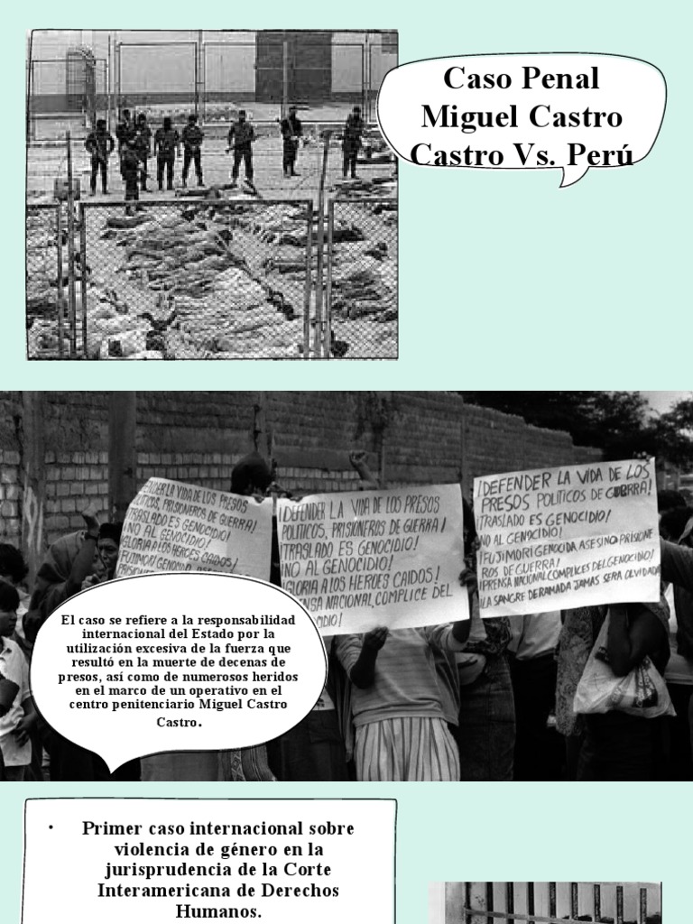 Caso Penal Miguel Castro Castro vs Perú | PDF | Violación | Derecho penal