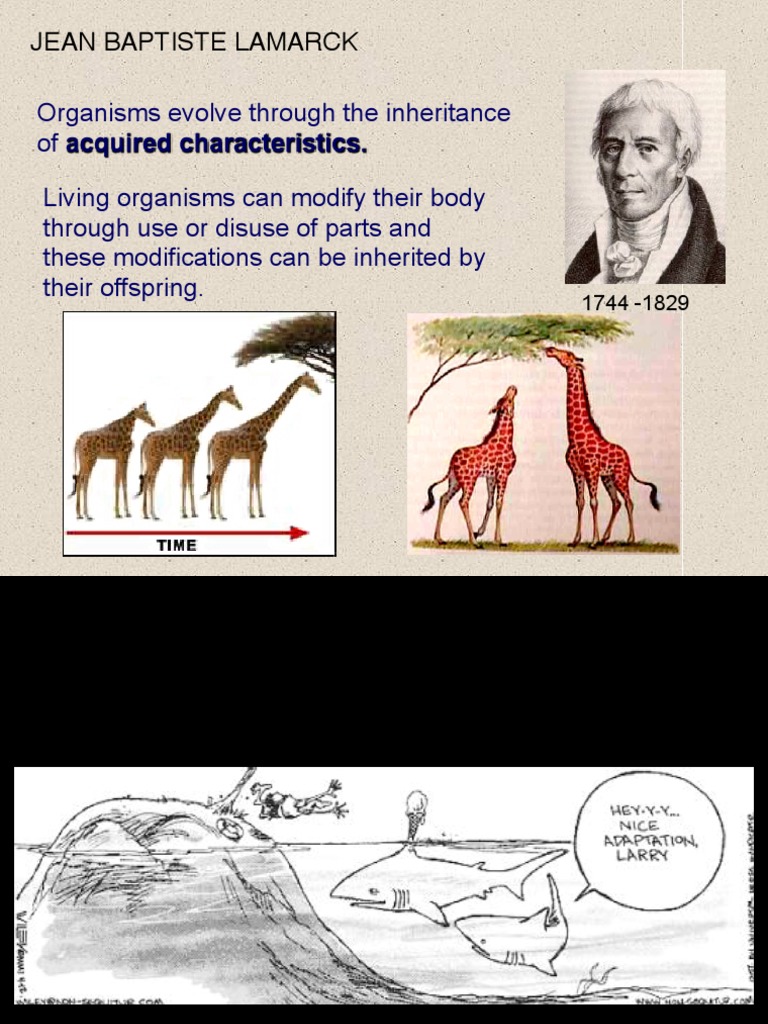 Jean Baptiste Lamarck | PDF | Charles Darwin | Evolution