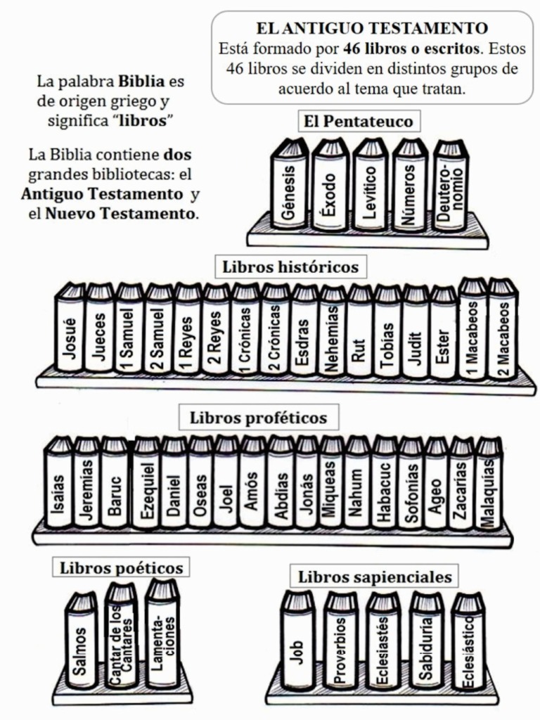 Proyecto de Biblia | PDF