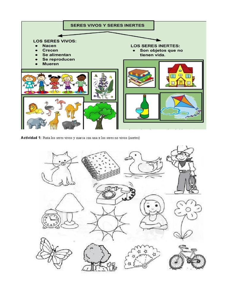 GUIA SERES VIVOS Y NO VIVOS (Presecial) | PDF