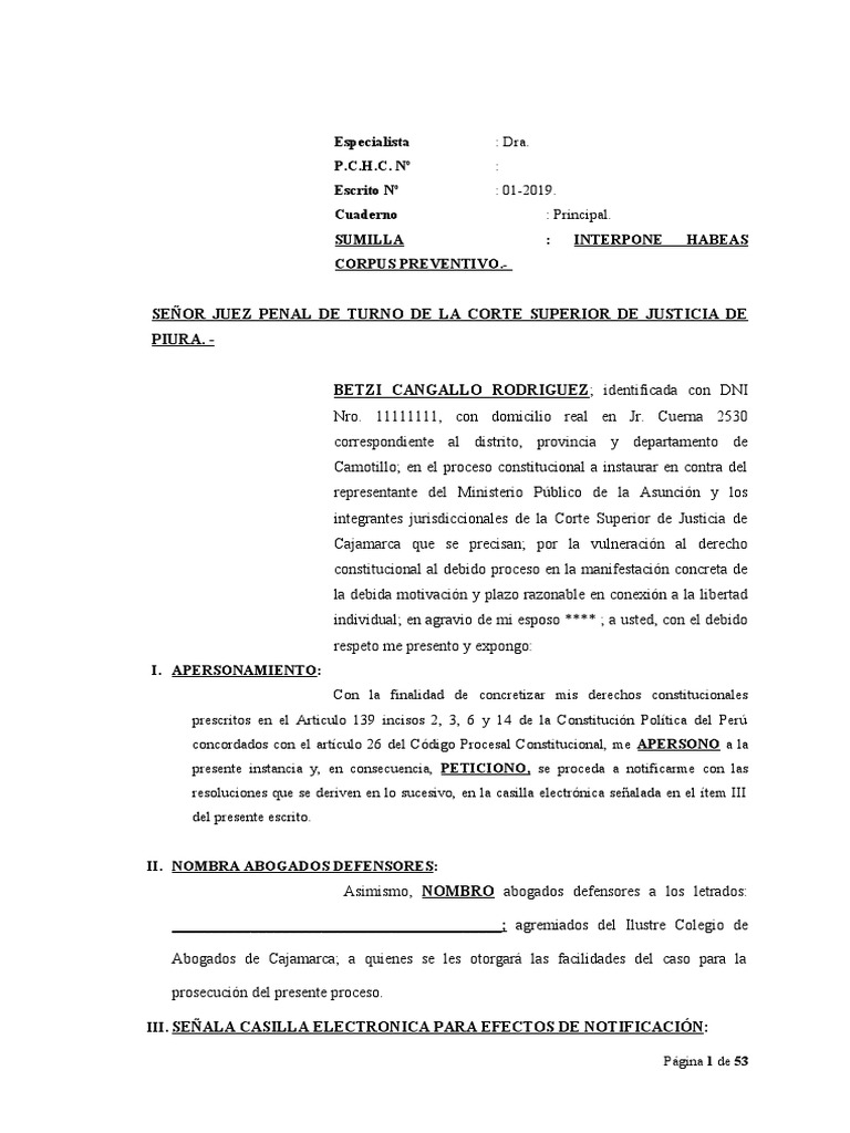 Modelo Habeas Corpus Preventiva Legis - Pe | PDF | Habeas corpus | Debido al proceso