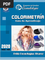 La Tabla Del 11 en Colorimetria | PDF | Color | Pelo