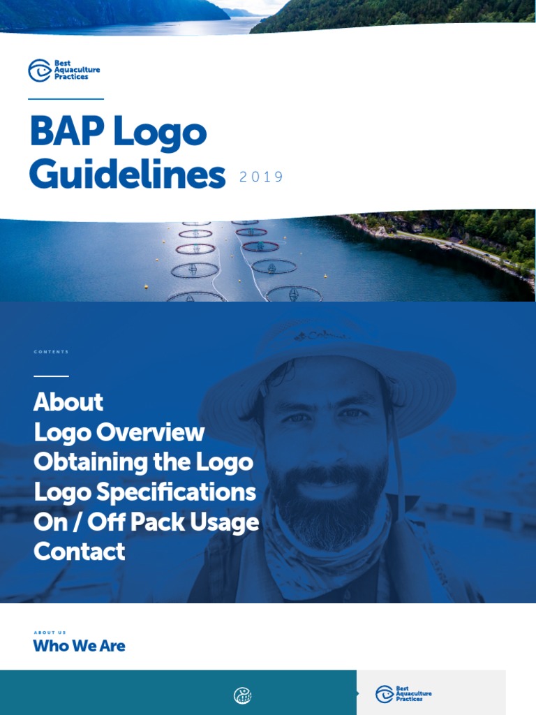 BAP Logo Use Guide Issue 2.0 23 July 2019 | PDF | Wellness | Technology ...