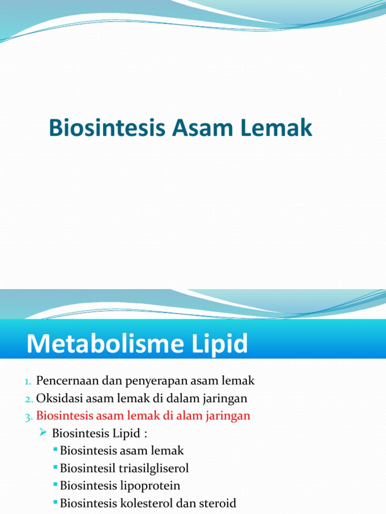 Biosintesis Lipid: Langkah-langkah Biosintesis dan Regulasi | PDF