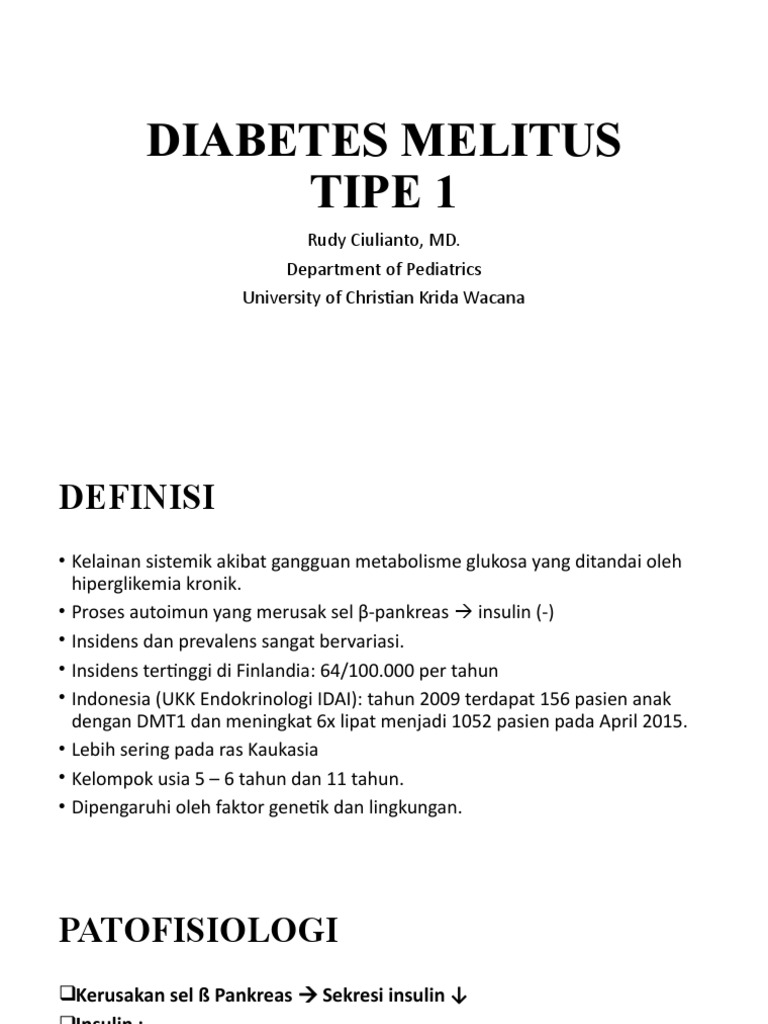 Panduan Lengkap Diabetes Tipe 1 | PDF