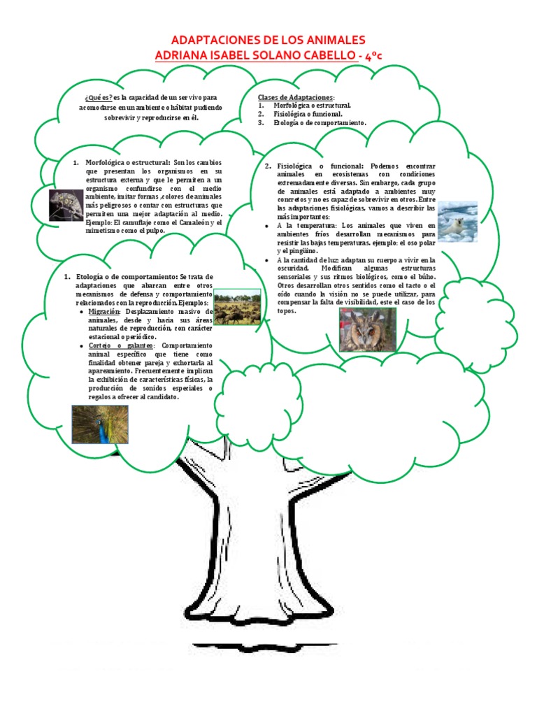 Adaptaciones de Los Animales | PDF | Adaptación | Mimetismo