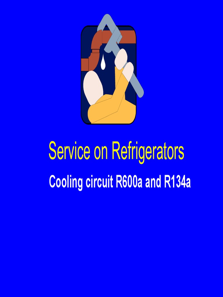 6 - Service Guidelines R600a-R134a Refrigerator | PDF | Liquids | Pump