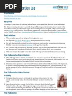 Autopsy of A Dill Pickle Person Lab | PDF | Abdomen | Anatomical Terms ...