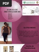 Marcha Trendelenburg: Análisis y Alteraciones | PDF | Pelvis | Sistema ...
