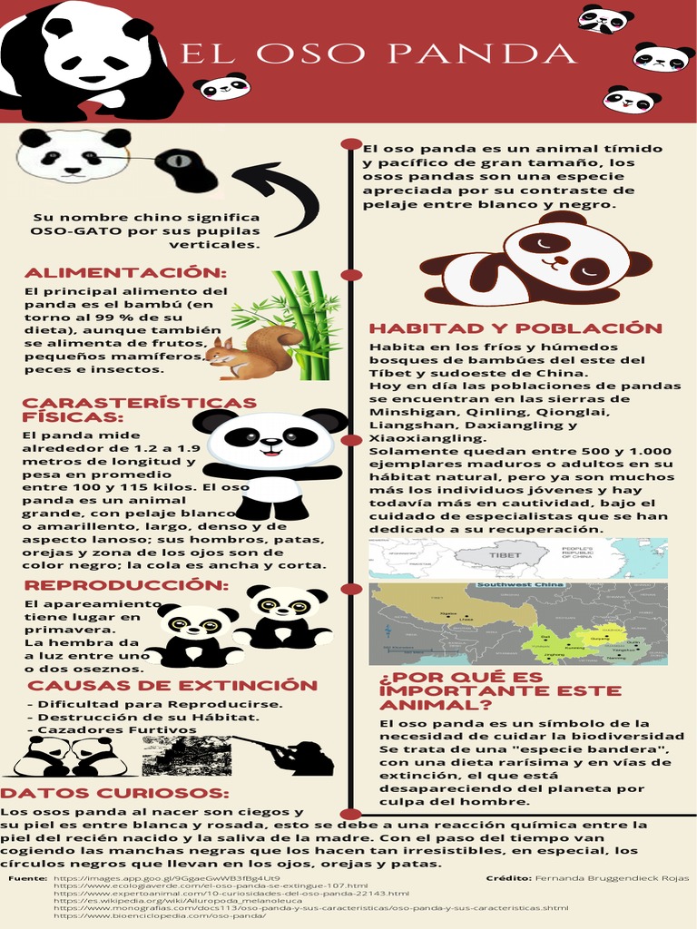 Datos curiosos del oso panda para niños | PDF | Panda gigante | Osos