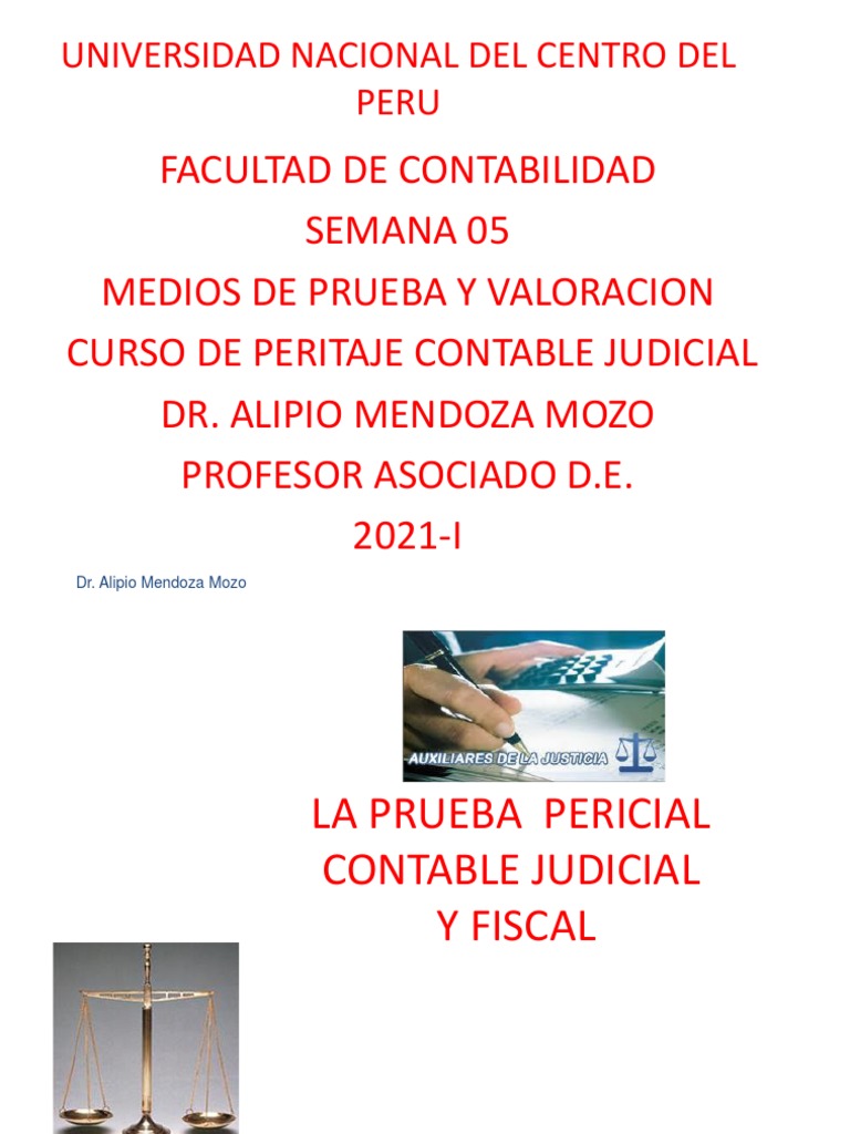 Prueba Pericial Contable Judicial | PDF | Evidencia (ley) | Testigo experto