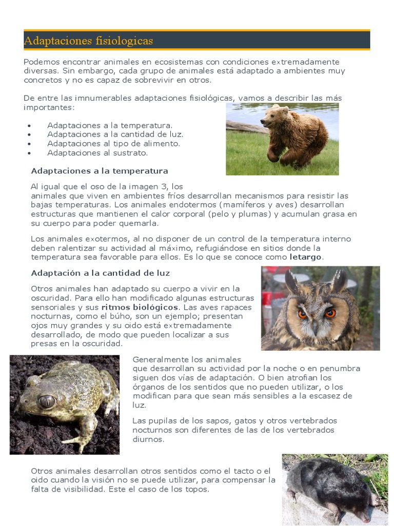 Adaptaciones Fisiológicas de Animales | PDF | Biología | Zoología