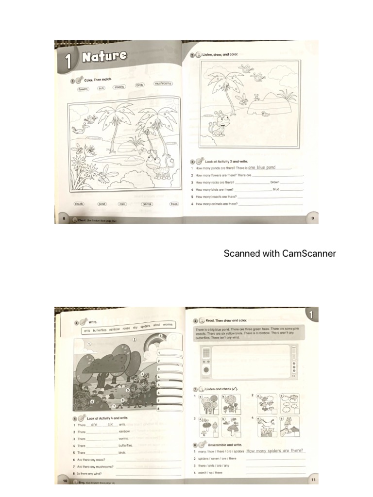 Our Discovery Island 3 Workbook | PDF